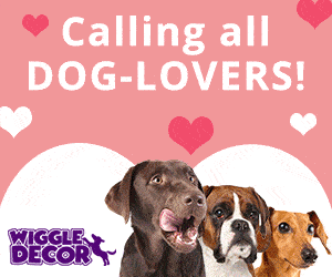 English Bulldog Dachshund Mix: Is the Bulldach the Perfect Pet For You?